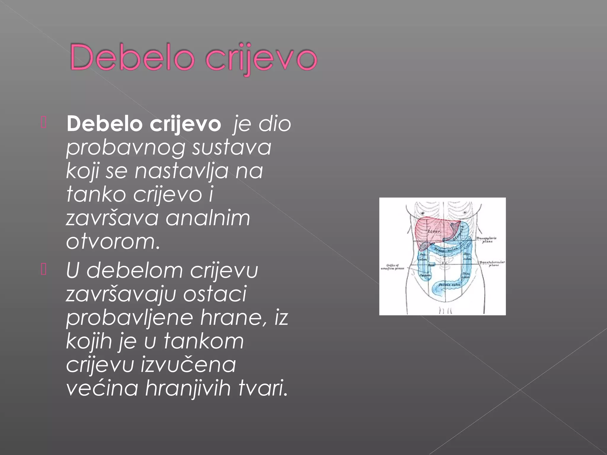 Organi za probavu | PPT