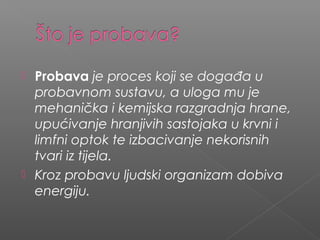 Organi za probavu | PPT