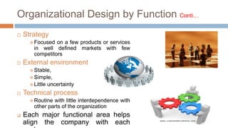Organizational Behavior & Organization Designs | PPTX