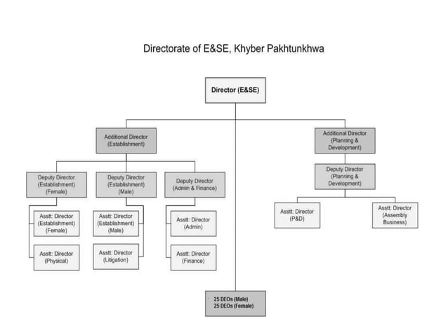 Organizational structure of educational institute in Pakistan | PPTX