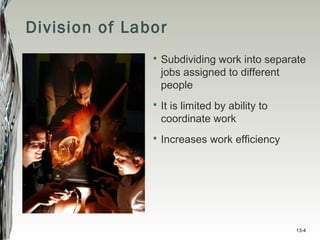 Organizational structure in Organization | PPT