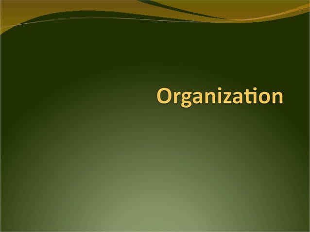 Organization | PPT