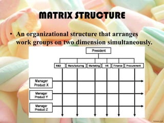 Organization | PPTX | Business | Business and Finance