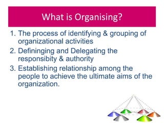 Organization | PPTX