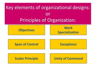 Organization | PPT