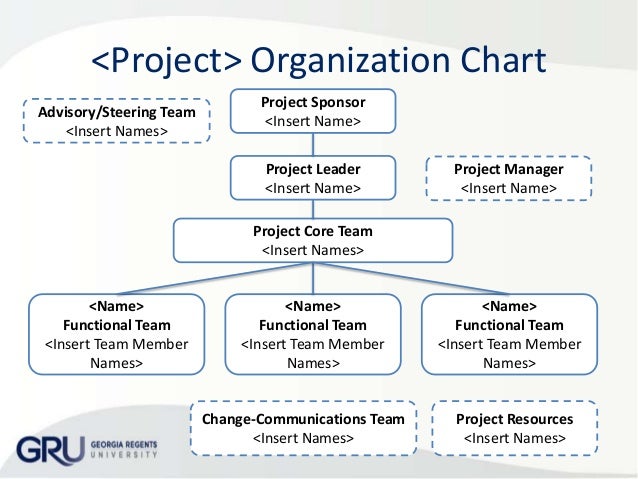 Organization Chart & Project Responsibilities
