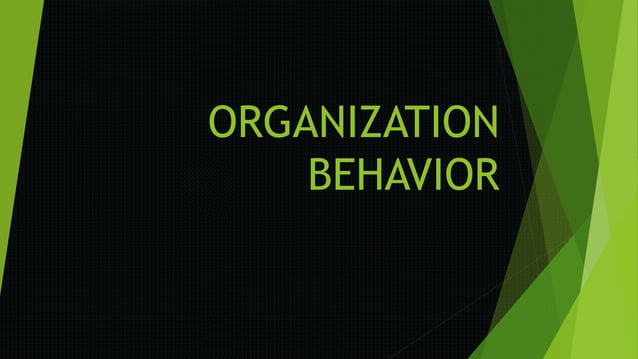 Organizational Behavior | PPT