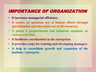 Organization | PPTX