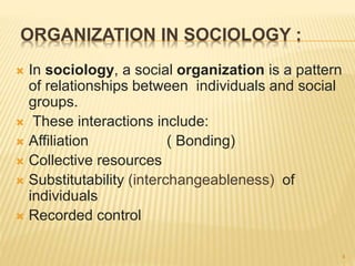 ORGANIZATION.PPT.pptx