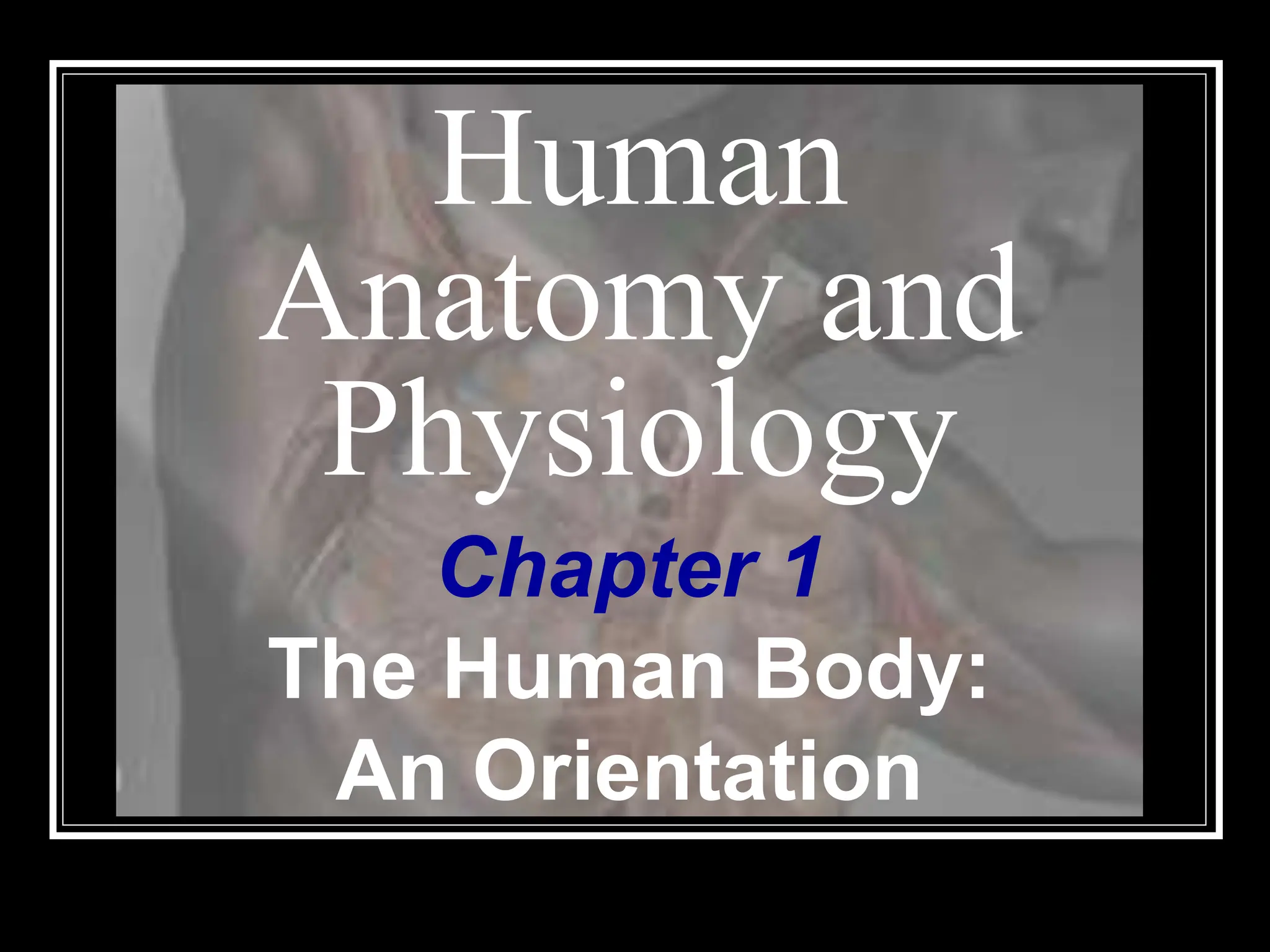Organization of human body based on anatomy.ppt