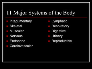 Organization of human body based on anatomy.ppt
