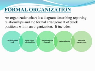 organization-5.pptx | Business Administration | Business