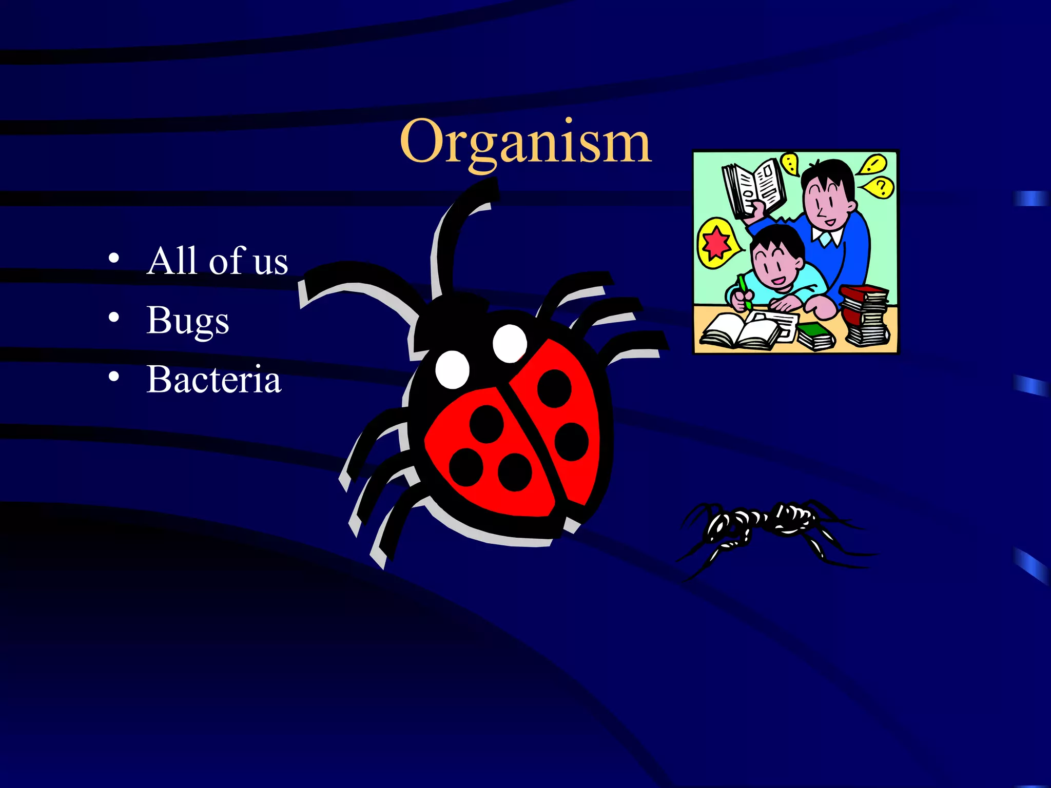 Organization Of Life | PPT