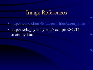 Organization Of Life | PPT