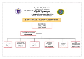 Organization-of-SDRR-Team.docx