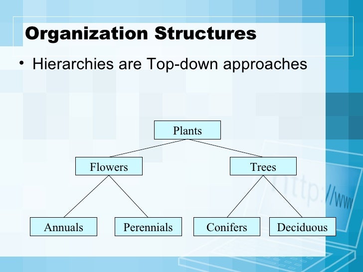 Organization Systems