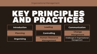organizational.pptx
