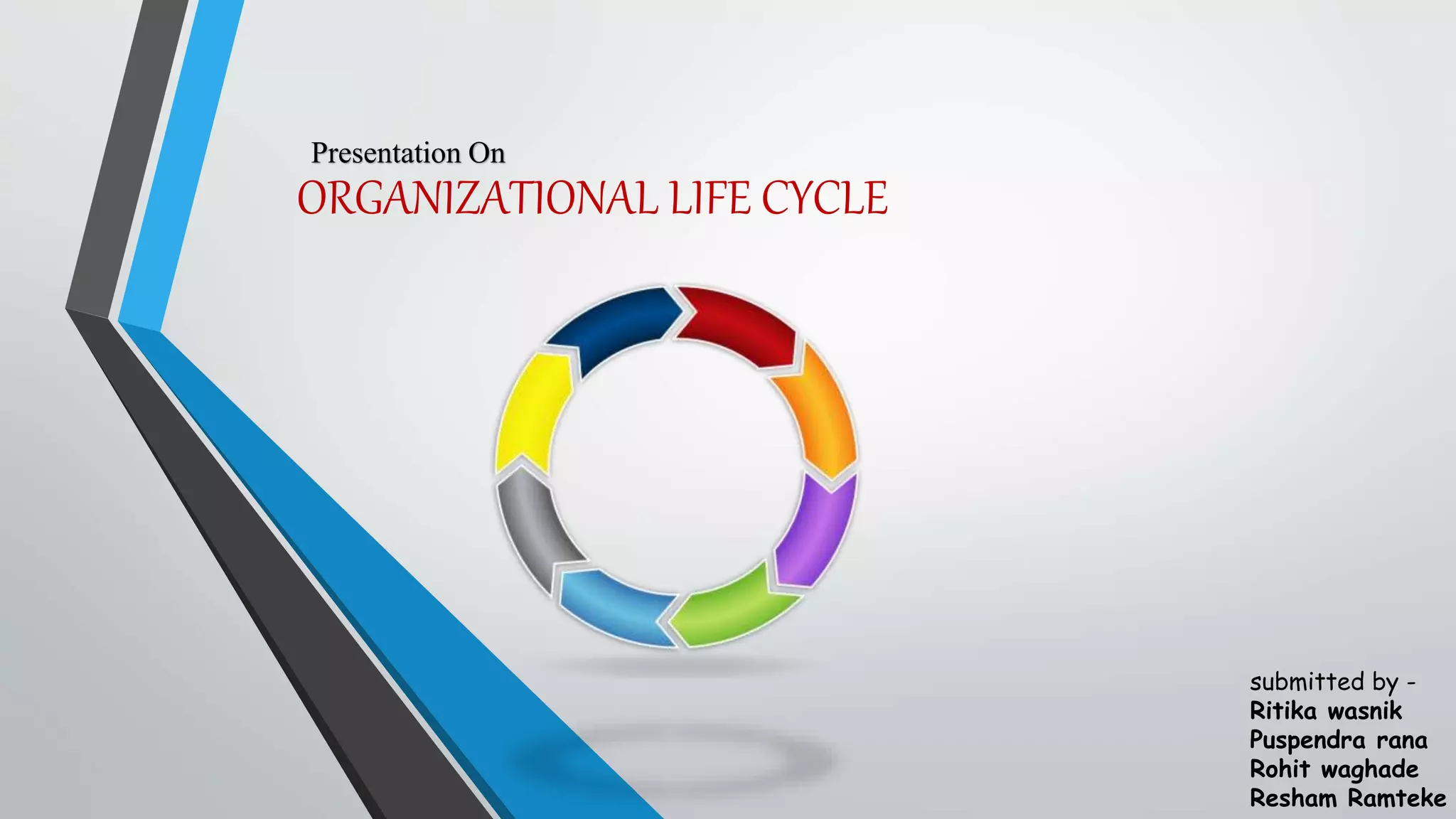 organizational-life-cycle.pptx