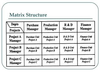Organizational Structure and roles | PPT