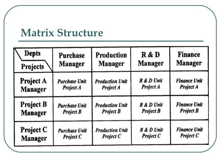 Organizational Structure and roles