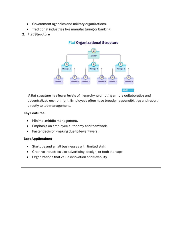 ORGANIZATIONAL-STRUCTURE.report in human behavior in organization | PDF