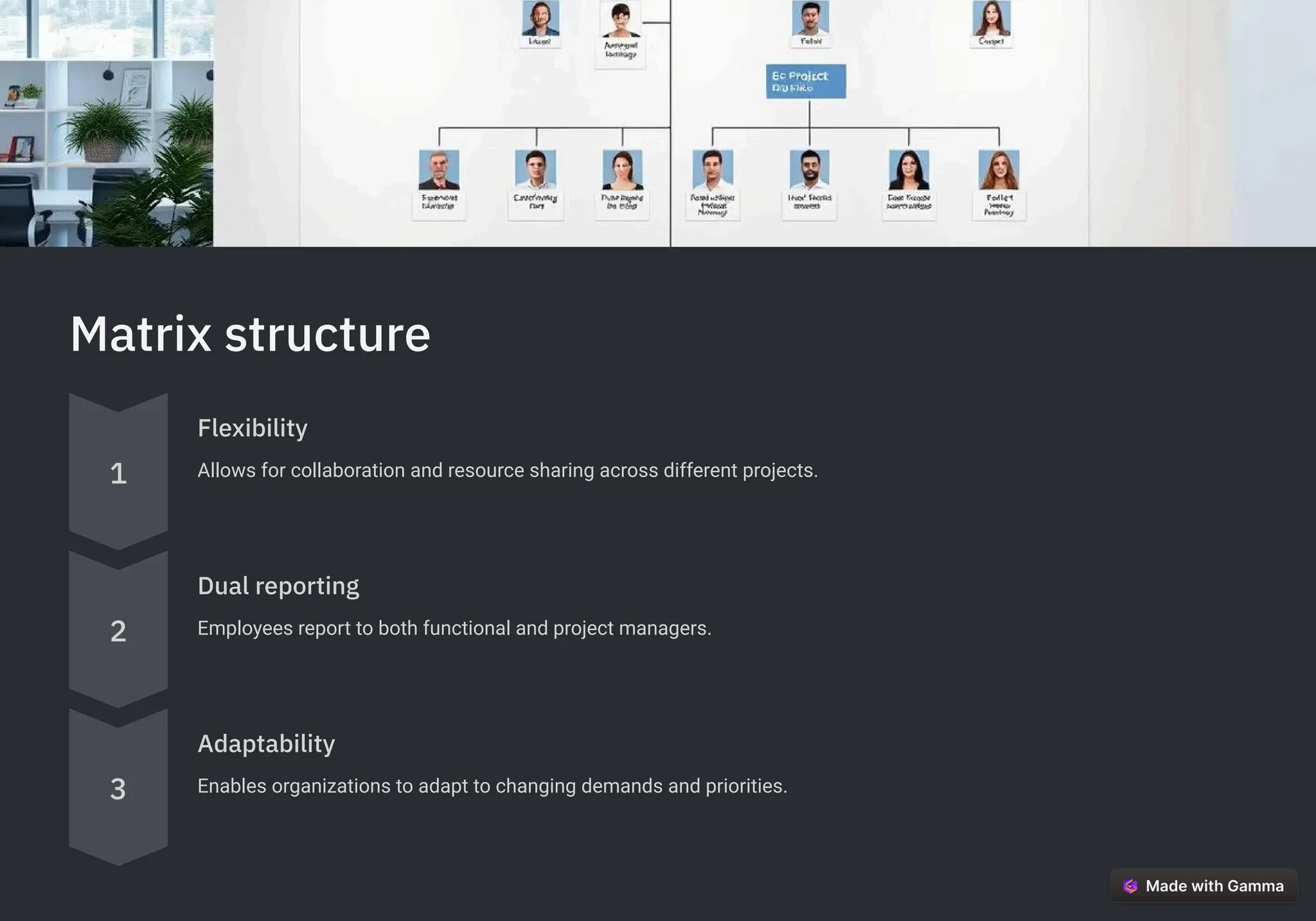 Organizational Structures and their function.pdf