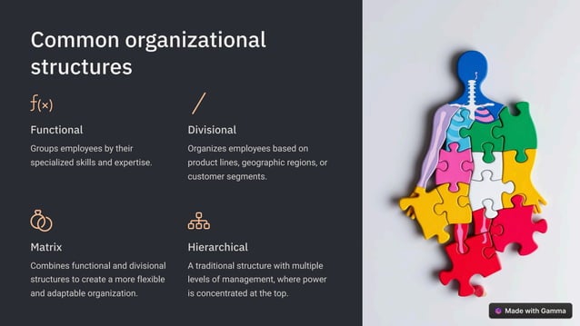 Organizational Structures and their function.pdf