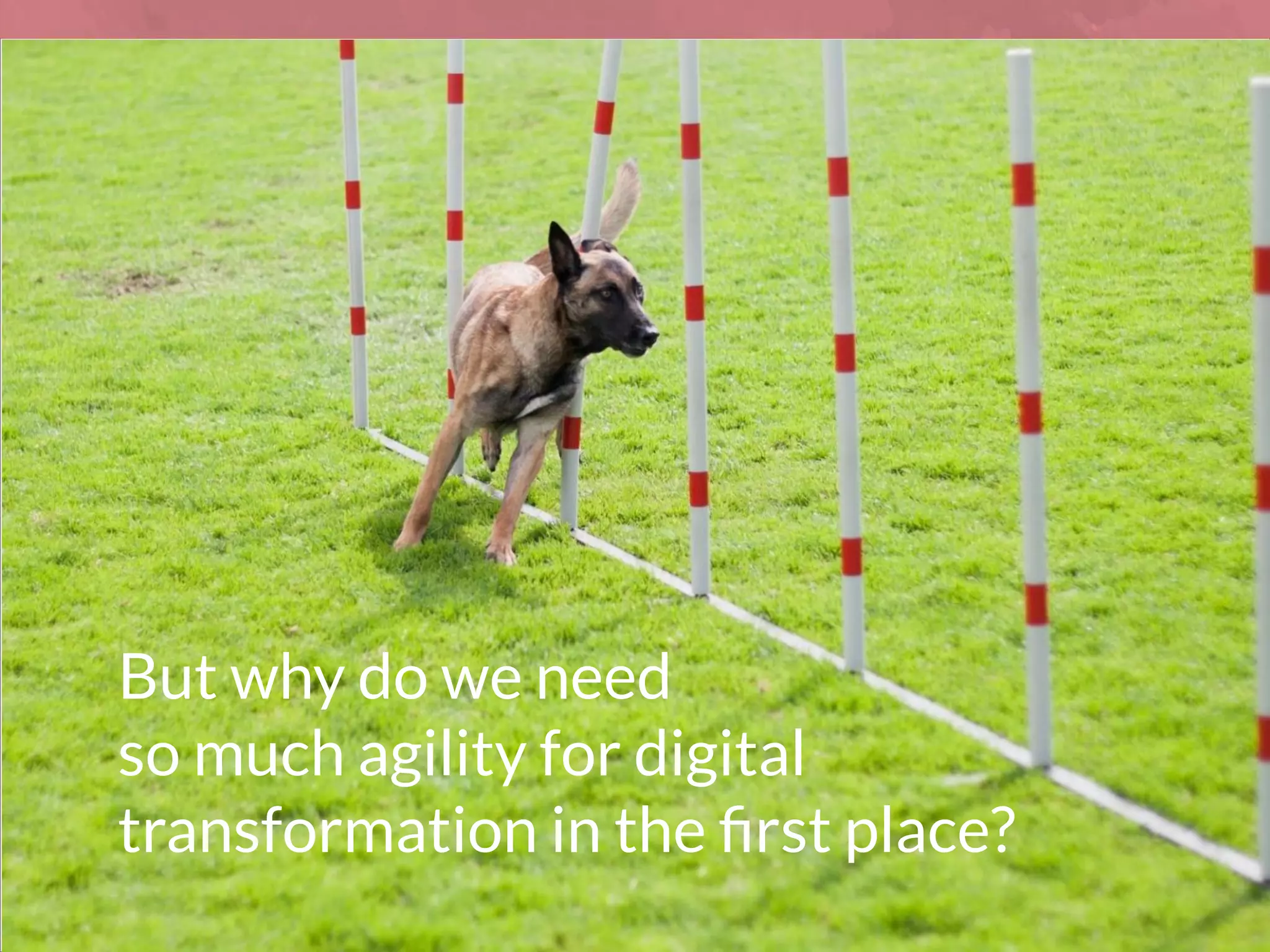 Gaining Digital Agility | PPT