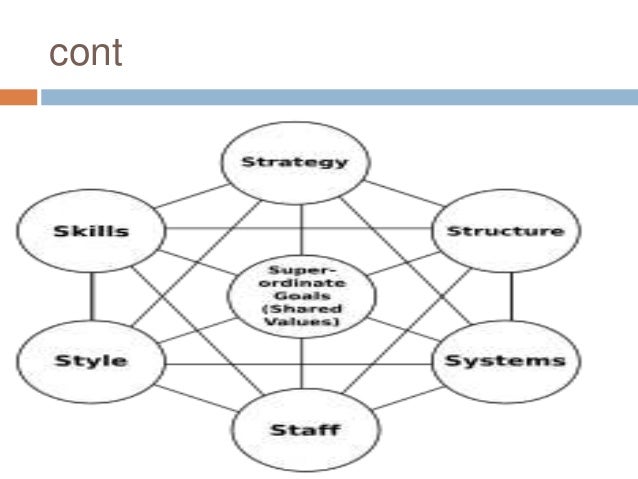 Organizational analysis 5