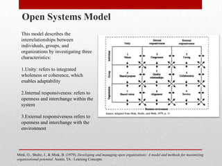 Organizational Assessment Models | PPTX