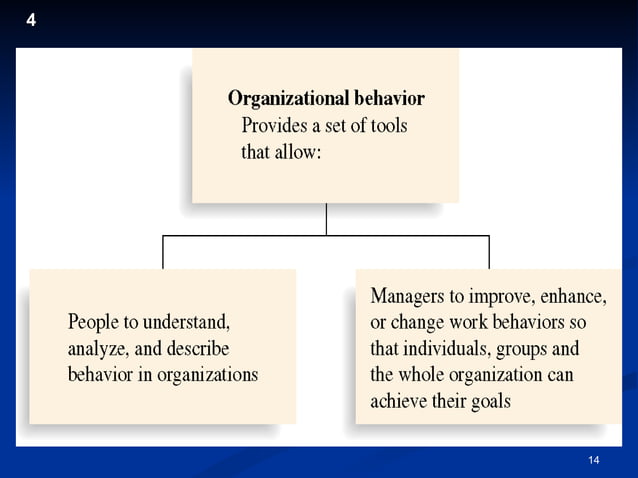 Organizational behavior | PPT | Human Resources | Business