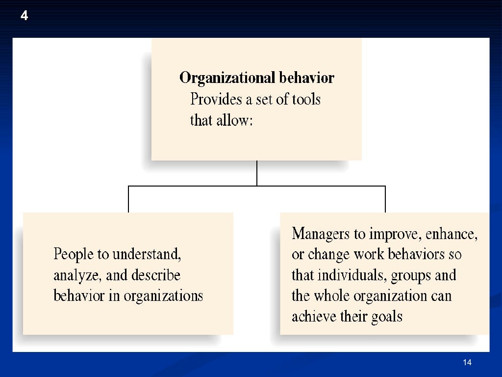 Organizational behavior
