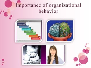 Organizational behavior | PPTX | Business and Finance