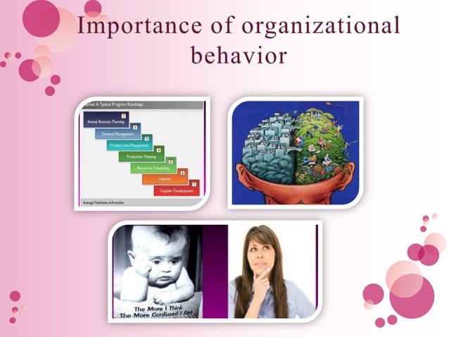 Organizational behavior | PPTX