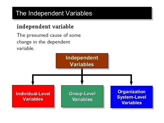 Organizational behavior
