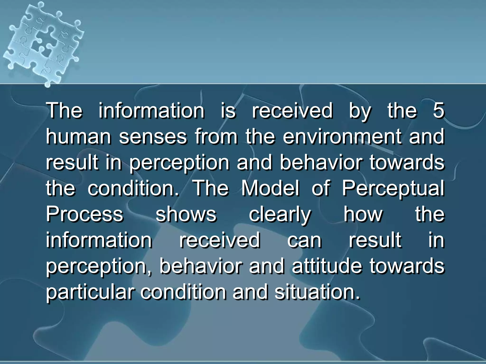 Organizational Behavior Case Study | PPTX