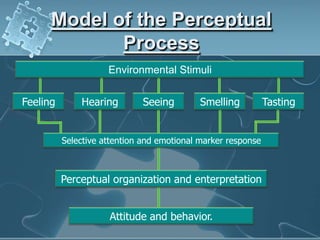Organizational Behavior Case Study | PPTX