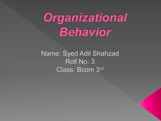 Organizational Behavior.pptx