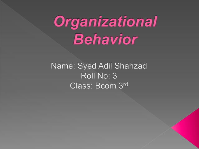 Organizational Behavior.pptx