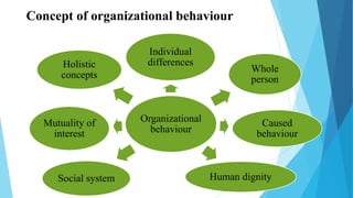 organizational behavior and human relations.pptx