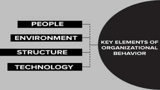 organizational behavior and human relations.pptx