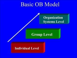 Organizational Behavior (An Overview) | PPT