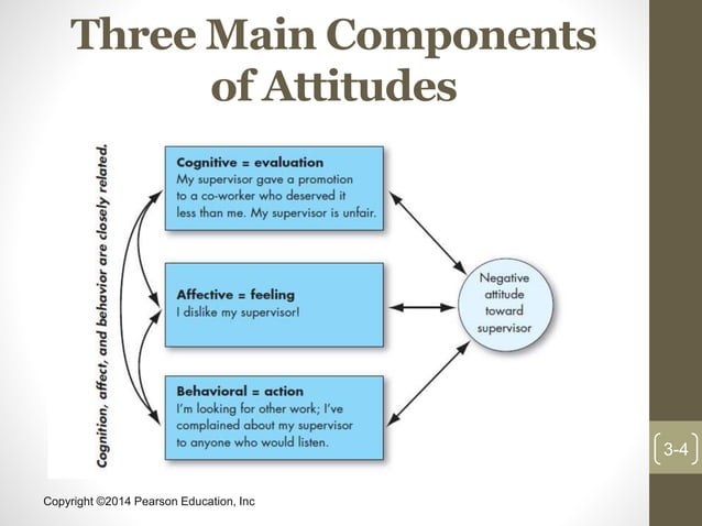 Organizational behavior chapter 2 | PPTX | Human Resources | Business