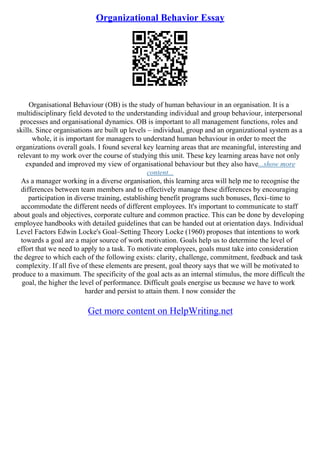 Organizational Behavior Essay | PDF
