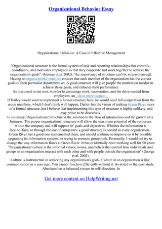 Organizational Behavior Essay | PDF