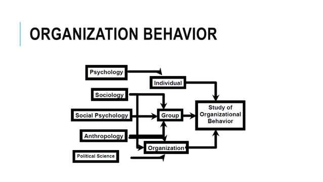Organizational behavior lecture 01 | PPTX | Science