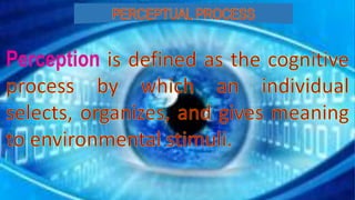 Organizational behavior ppt, perception,attribution,emotions,values ...