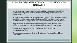 Organizational behavior ppt | PPT