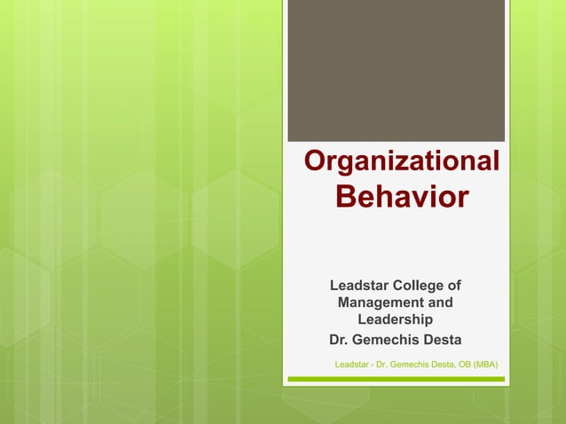 Organizational behavior ppt | PPTX | Business Administration | Business