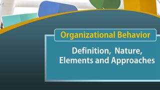 Organizational Behavior Presentation.pptx